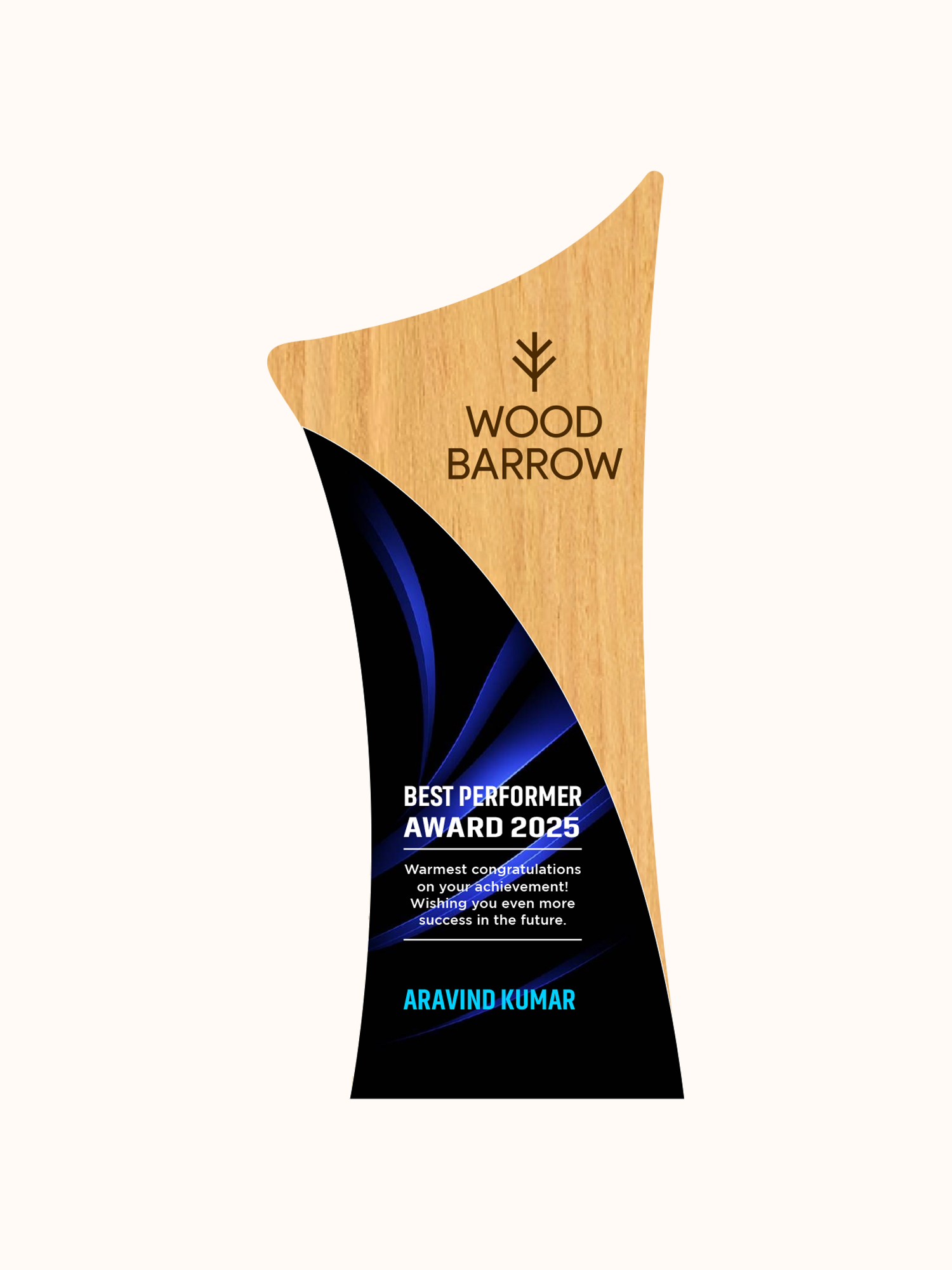 Customized Acrylic Crafts Plexiglass Award – Outstanding Enterprise Ho