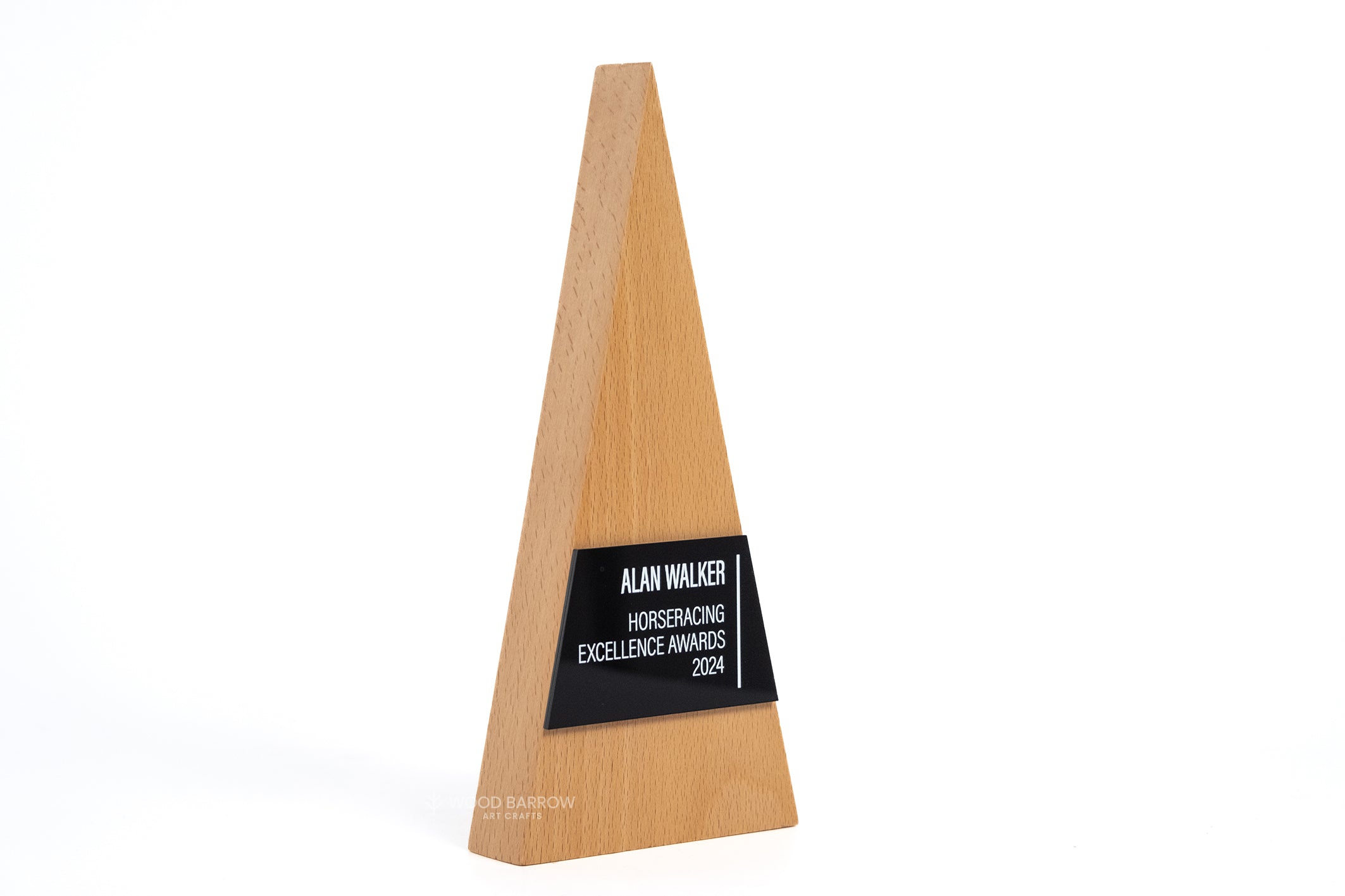 Triangular Wooden Trophy with Modern Flair